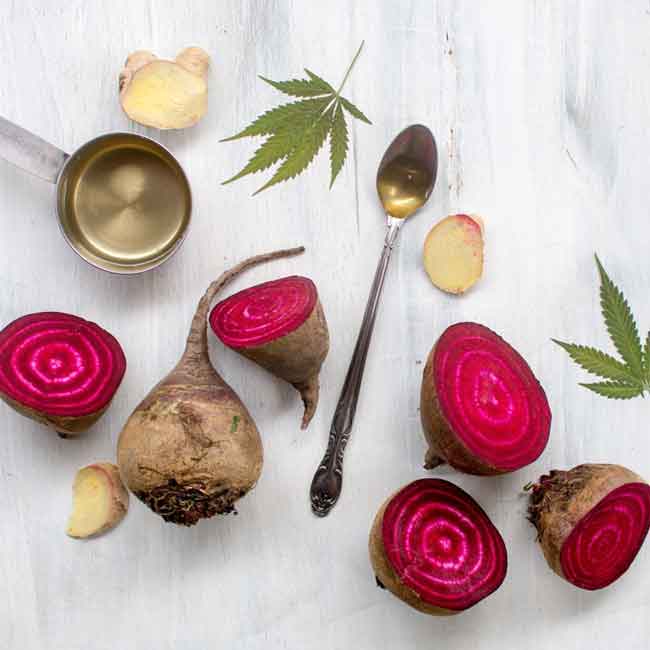 Apple Cider + Ginger + Beet Shrub – Hempsley Health